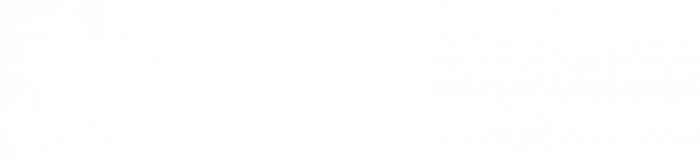 Brasão – UFPA