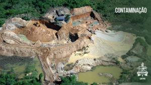 UFPA participa da criação de projeto de lei que visa à Prevenção à ...